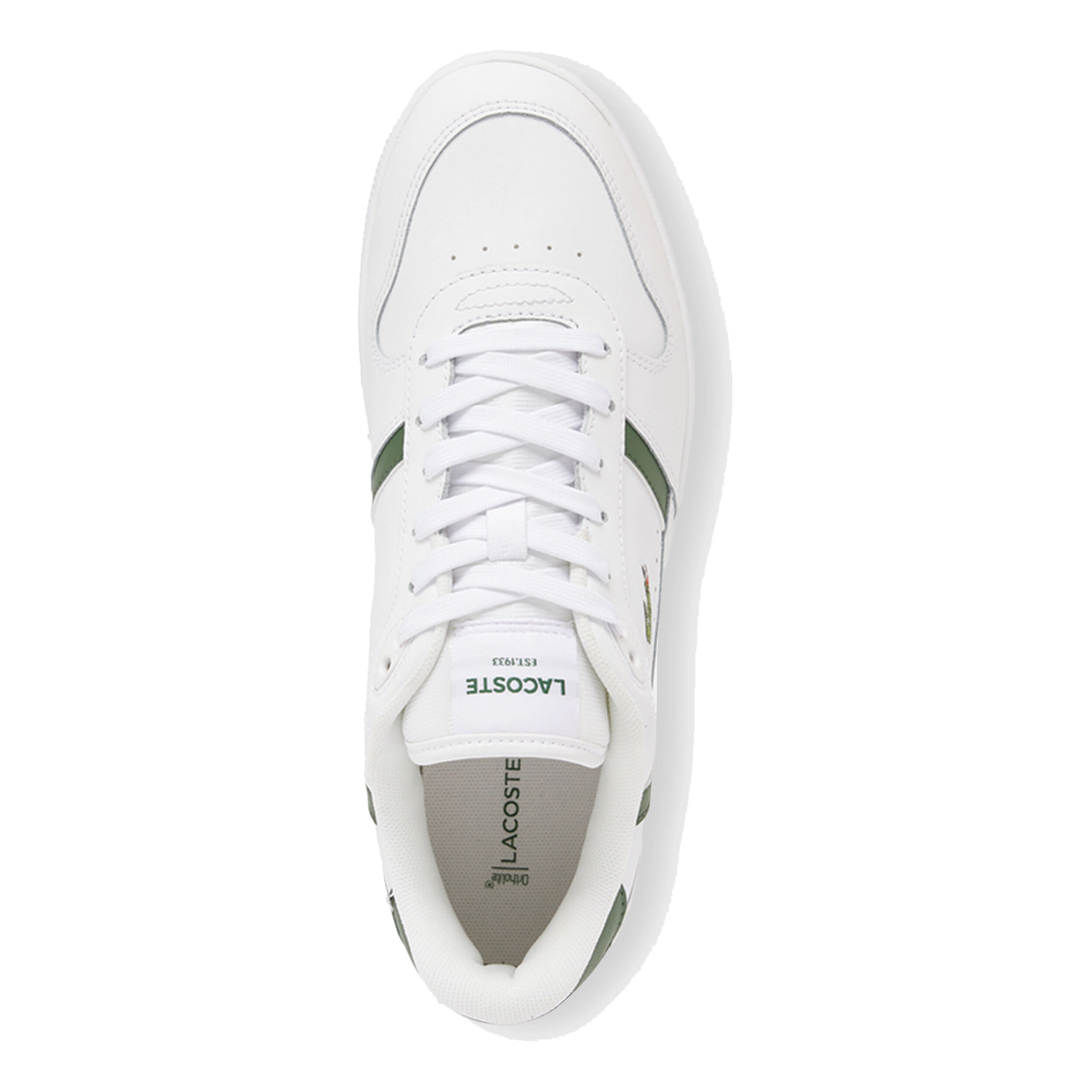 Buy lacoste sneakers online store
