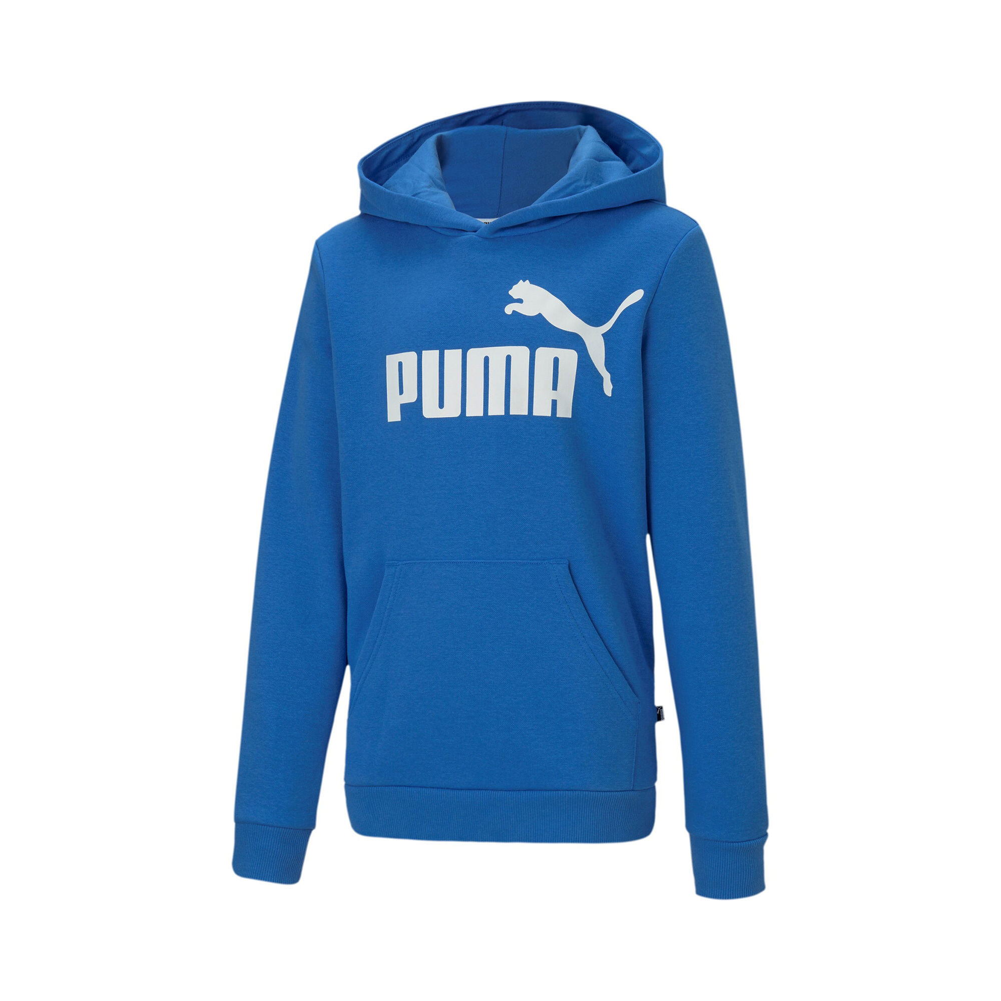 Buy Puma Essential Logo FL Sweat À Capuche Garçons Bleu , Blanc online ...